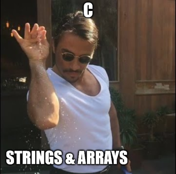 CS 240 Lab 6/7: C Programming & Pointers